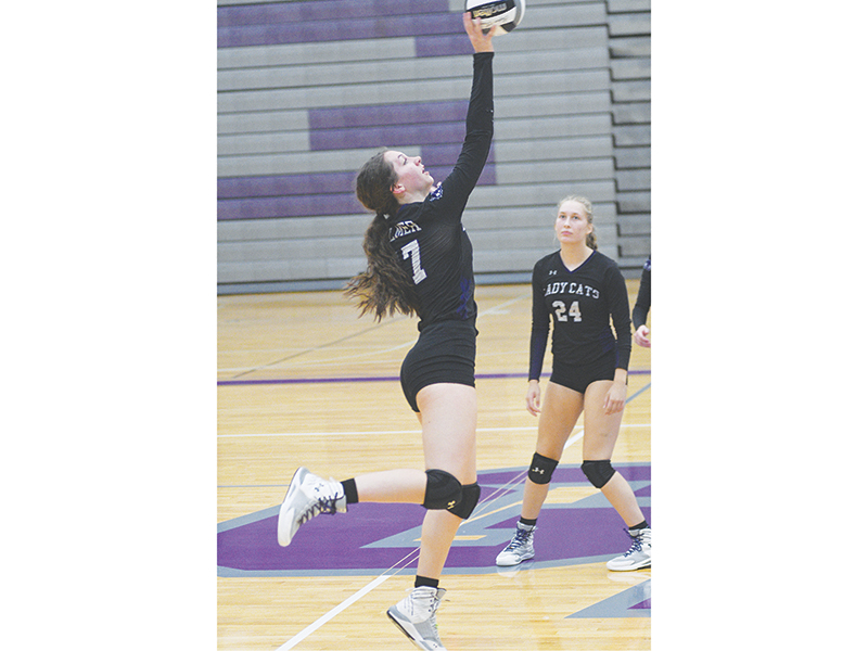 Gilmer nabs pair of region volleyball wins | Times-Courier, Ellijay ...