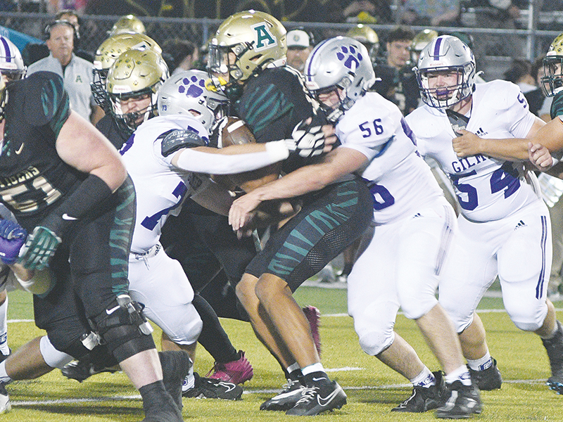 Tigers too much for shorthanded Cats | Times-Courier, Ellijay, Georgia